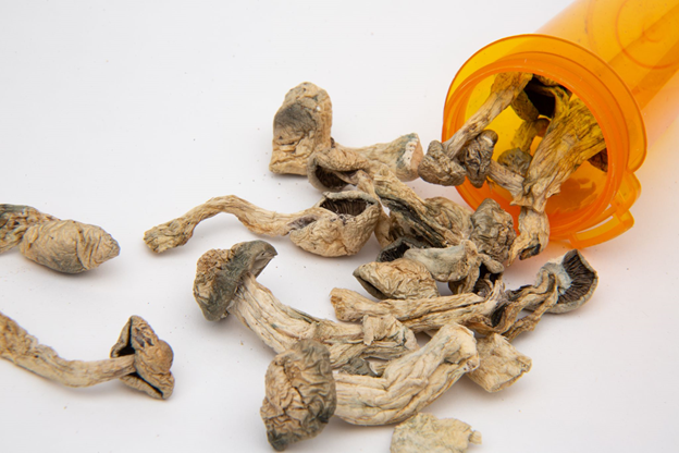 OCD and Psychedelics - Are Psychedelics Able to Treat OCD?
