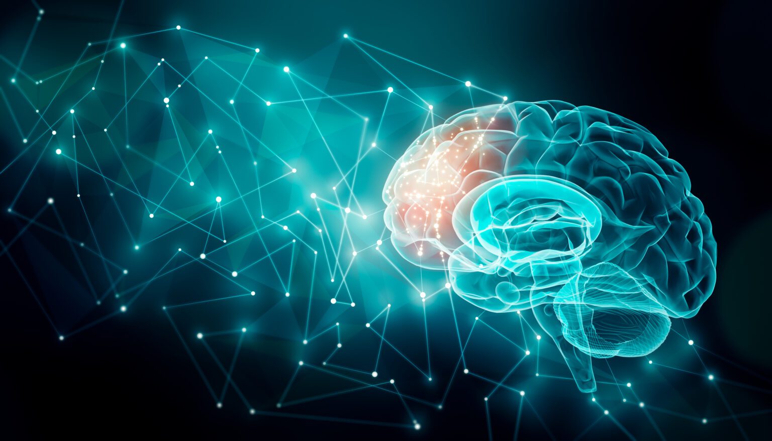An Expert Guide to Brain Stimulation Therapy | BrainsWay